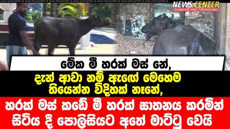 හරක් මස් කඩේ මී හරක් ඝාතනය කරමින් සිටිය දී පොලිසියට අතේ මාට්ටු වෙයි දැන් ආවා නම් ඇගේ ලේ ඇයි