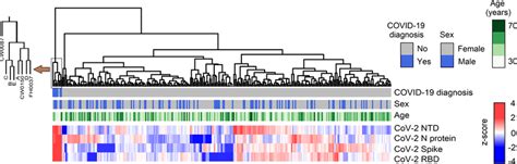 Hierarchical Clustering Of Individual Based On Serum Sars Cov 2 Download Scientific Diagram