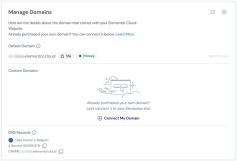 Fix Issues With Connecting A Custom Domain To Elementor Hosting Elementor