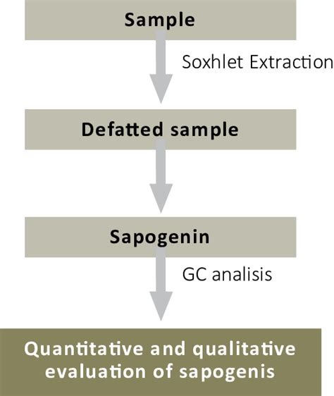 Schematic Diagram For The Extraction Of Saponins Download Scientific Diagram