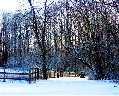 Samis Art Blog January Issue Dr Susie Myers