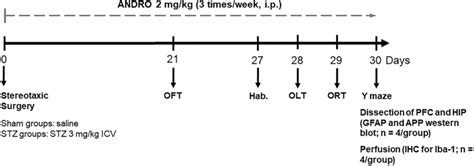 Experimental Design Oft Open Field Test Hab Habituation Olt Download Scientific Diagram
