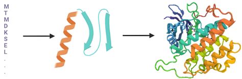 논문 리뷰 Graphprint Extracting Features From 3d Protein Structure For Drug Target Affinity