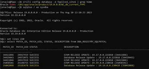 Flavio Sarcos On Linkedin Oracle Fleet Patching And Provisioning Part 2