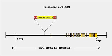Ptpn23 Taconic Biosciences