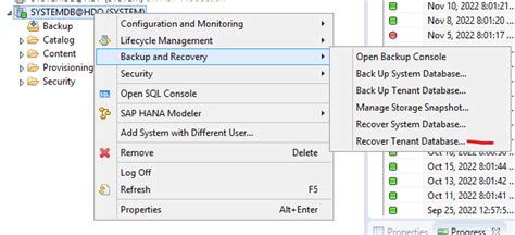 How To Refresh Sap Hana Qas Step By Step Instructions Amar It Tech