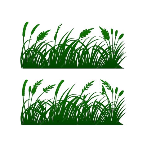 Premium Vector Green Grass Isolated On White Background