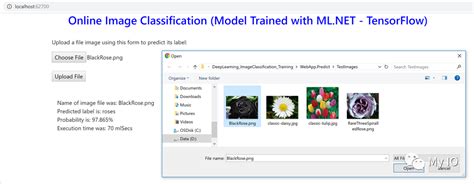 Mlnet 示例：图像分类模型训练 首选api（基于原生tensorflow迁移学习）旧的winform如何使用mlnet大模型 Csdn博客