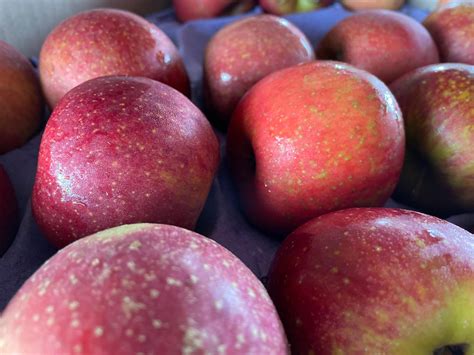 Preço Da Banana Prata E Maçã Nacional Alivia O Bolso Mas Abacate E