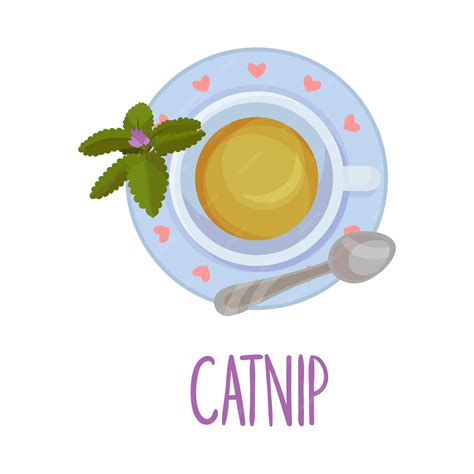Premium Vector Catnip Tea Served On Saucer Vector Illustration