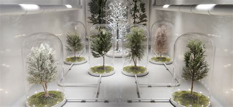 Geometry Nodes Based Interactive Tree Growing With Easy Tree Generator [ ] Blendernation