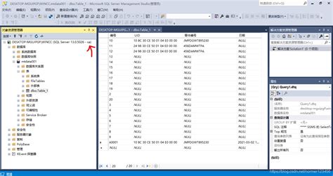 ＜＞＜vb＞使用实现对sql服务器数据库的连接和读写，并在窗口表格中显示数据 编程实例 csdn专栏