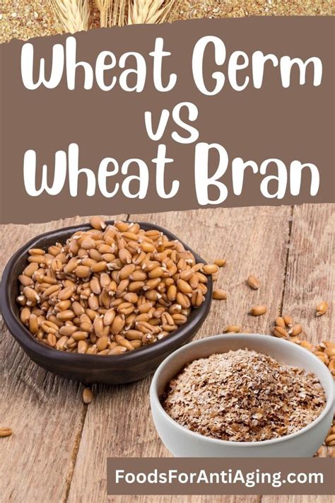 Wheat Germ Vs Wheat Bran Which Is Better Lets Compare Wheat Germ