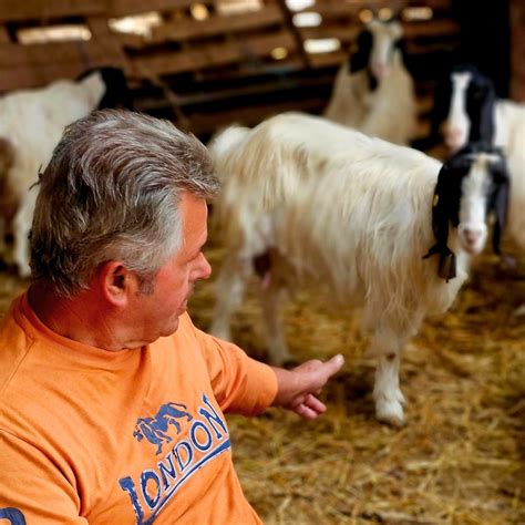 Casa Mia Tours Italy Tours Sicilian Goat Farm Experience