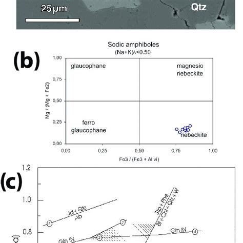 A Backscattered Electron Image Of The Metamorphic Mineral Assemblage