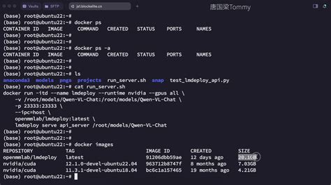 多模态大模型 前沿算法与实战应用 第一季 哔哩哔哩 Bilibili