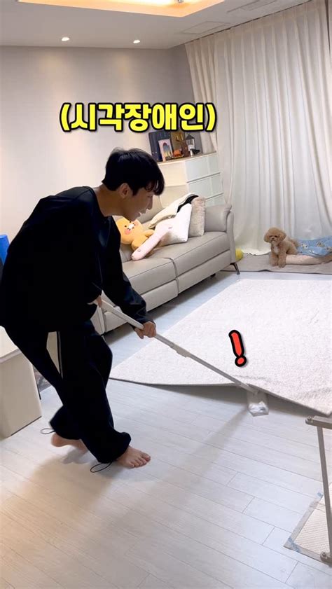 원샷한솔 시각장애인 아빠 위해 이불 접는 강아지 시각장애인 아빠 강아지 토리 이불접기 효녀 환상의콤비 원샷한솔 Instagram