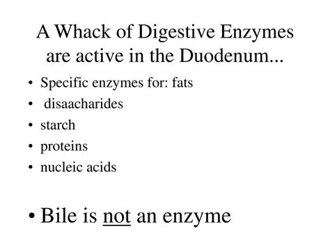 Ingestion And Digestion Ppt Download