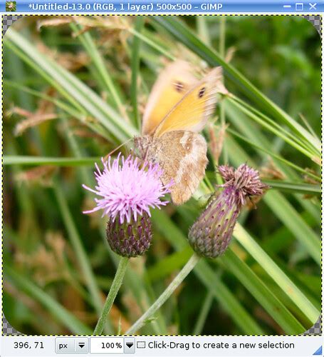 Photo Editing With The GIMP Rounded Corners Part I Beepily