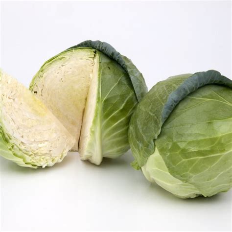 Blue Dynasty Clifton Seed Company