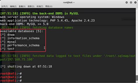 5 SQL 注入攻击实战 邓方鸣 在线云识