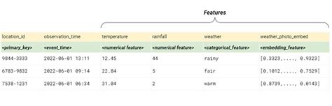 feature types für machine learning hopsworks