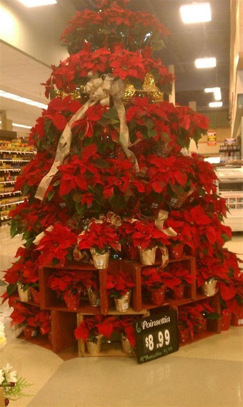 Festive Christmas Tree Made Of Red Poinsettias