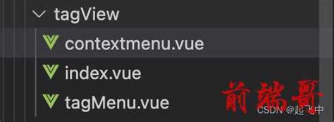 vue3 elementplus实现tagsView导航标签栏功能 前端哥