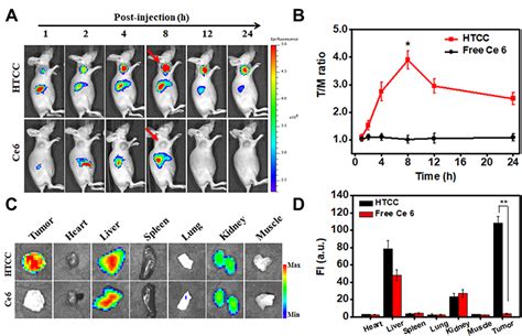 Enzyme And Reactive Oxygen Speciesresponsive Dual Drug Delivery Ijn