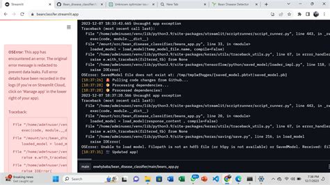 I Am Having Issue With Deployment Community Cloud Streamlit