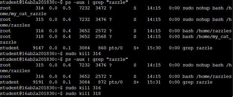 Mohsin Siddiqui On Linkedin Linux Processutilization