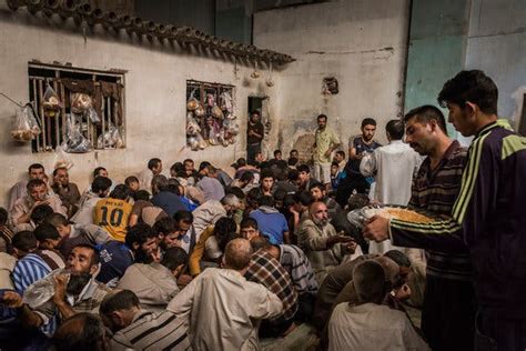 Isis Fighters Having Pledged To Fight Or Die Surrender En Masse The
