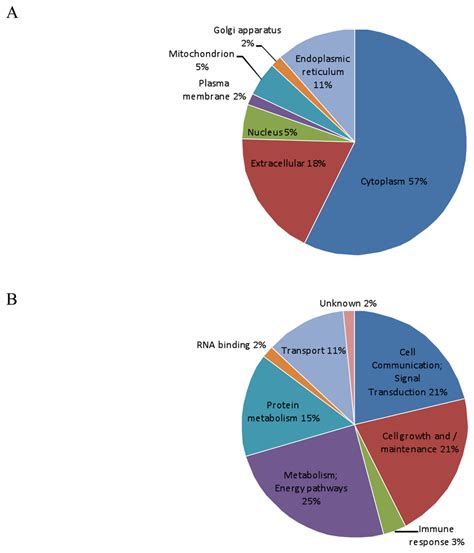 Cellular Location And Functional Categorization Of Identified Proteins