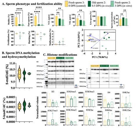 Effects Of A Similar Period Of In Vivo And In Vitro Storage On