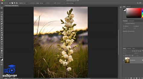 آموزش باز کردن عکس در فتوشاپ ️ فیلم رایگان موشن کده