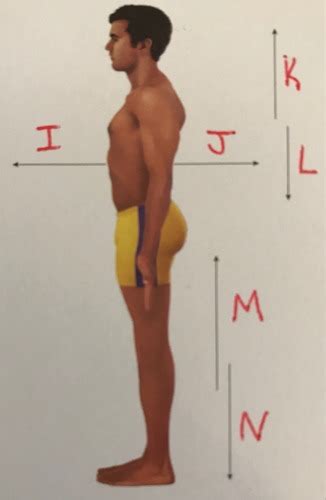 HAP Lab Midterm Chapters Flashcards Quizlet HAP Lab Midterm Chapters Flashcards Quizlet