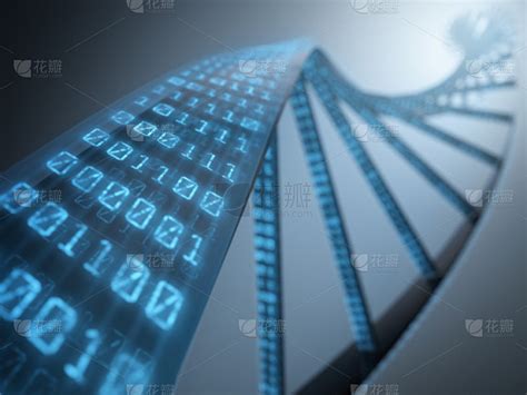Dna 与二进制代码
