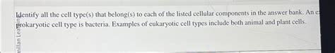 Solved Ldentify All The Cell Types ﻿that Belongs ﻿to