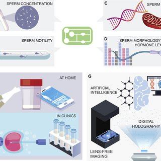 An Overview Of Disposable Microfluidics For Fertility Testing Download Scientific Diagram