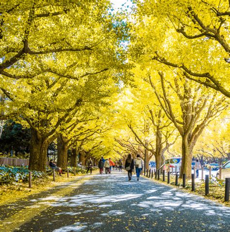 会社情報｜ 株式会社nttデータ数理システム