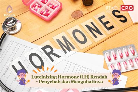 Luteinizing Hormone Lh Rendah Penyebab Dan Mengobatinya