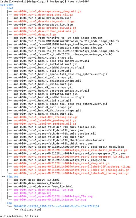 Rs Fmri Multi Volume Epi Fmriprep Preprocessing Skipping Processing Of All Bold Volumes