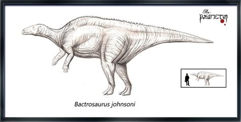 Bactrosaurus Alchetron The Free Social Encyclopedia