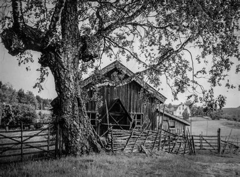 Vackra Svartvita Bilder Englunds Fotoarkiv