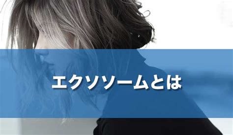 エクソソームとは若返り効果とOEMできる化粧品サプリメントを徹底解説 OEM CO LTD