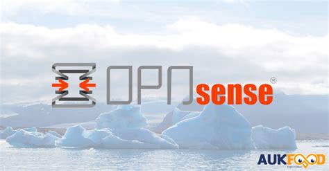 Opnsense Déploiement Dune Instance Sur Ovhcloud [partie 1 2] Aukfood