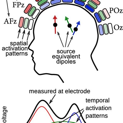 Temporal Left And Spatial Right Activation Patterns Used As