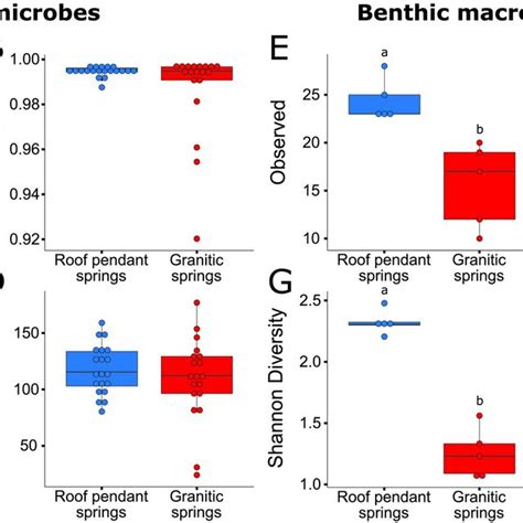 Benthic Macroinvertebrate Bmi Diversity But Not Microbial Diversity Download Scientific