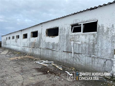 Сумська область − 7 грудня окупанти здійснили атаку з мінометів Слово і Діло