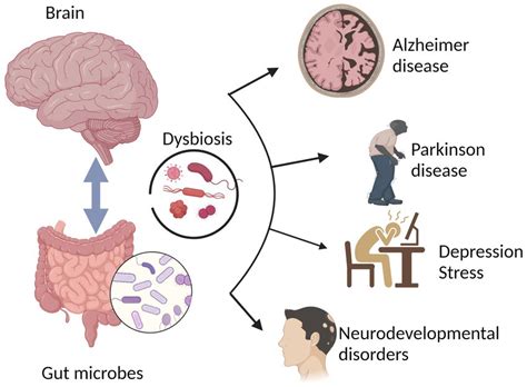 Frontiers The Gut Microbiotabrain Axis In Neurological Disorder